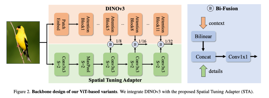 超越YOLO！DINOv3加持！DEIMv2：重新定义实时目标检测-CSDN博客