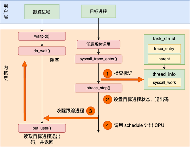 揭开 strace 命令捕获系统调用的神秘面纱_strace -p pid-CSDN博客