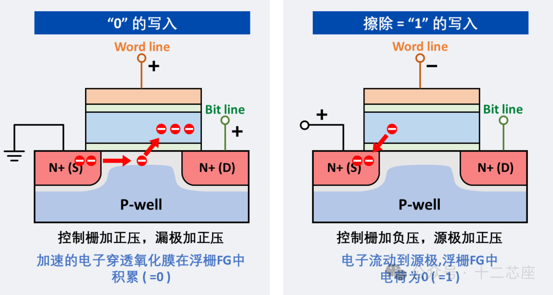 FLASH：一文读懂FLASH的工作原理与应用_flash工作原理-CSDN博客