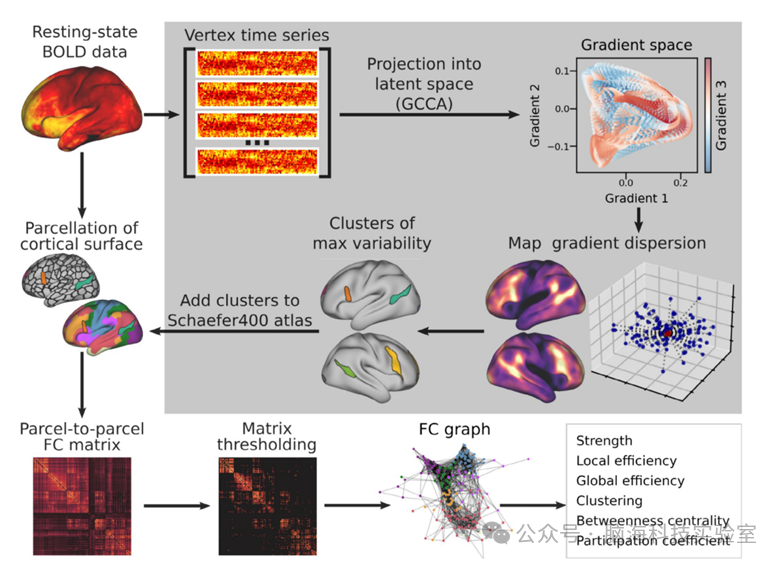 Hum Brain Mapp：通过降维和图论分析了解功能图谱与智力之间的联系-CSDN博客