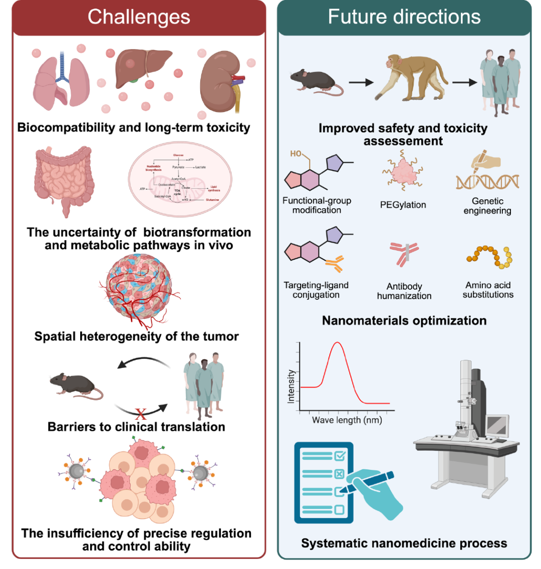 iMetaMed | 澳门大学苗凯组-深度探讨纳米材料在肿瘤微环境调控中的应用与挑战-CSDN博客