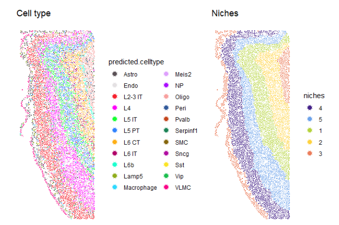 SCS 46.Seurat v5解析单细胞空转数据(Xenium)-CSDN博客