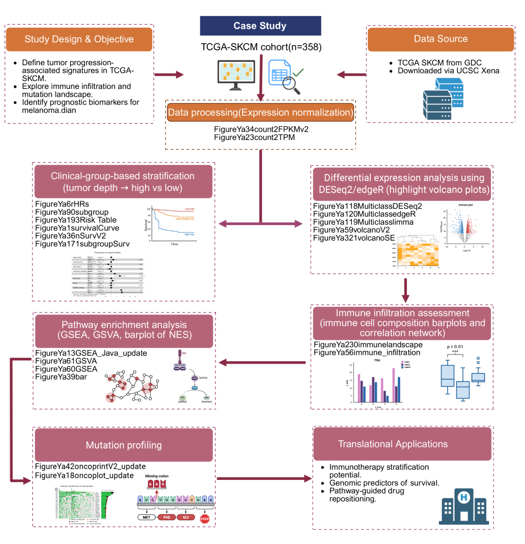 iMetaMed | 大连医科大学葛瑛-FigureYa：一个用于提升生物医学数据解读与研究效率的标准化可视化框架-CSDN博客