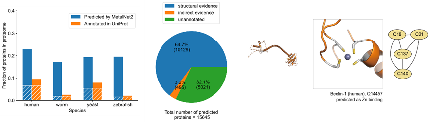 号外 | 王初课题组开发了用于预测蛋白质组中金属结合位点的在线服务器MetalNet2...-CSDN博客