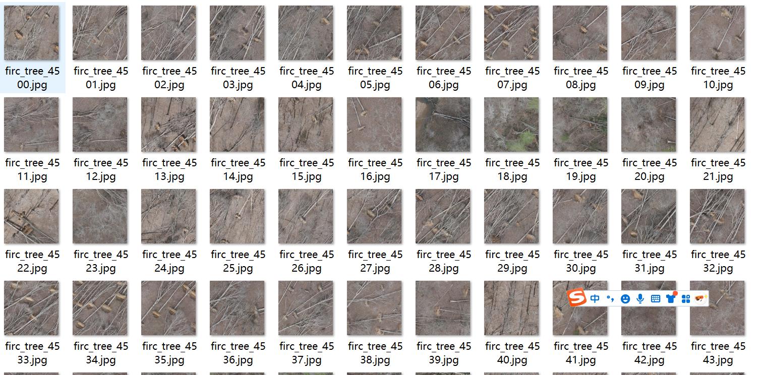 无人机视角森林倒树识别分割数据集labelme格式5018张2类别-CSDN博客