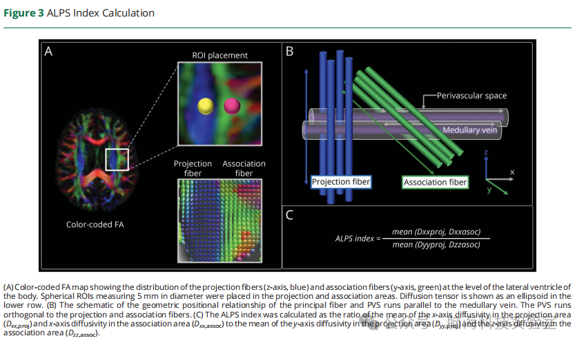 轻度认知障碍和阿尔茨海默病中淋巴系统MRI指标与淀粉样蛋白沉积和认知的关系_aβ沉积 mri-CSDN博客
