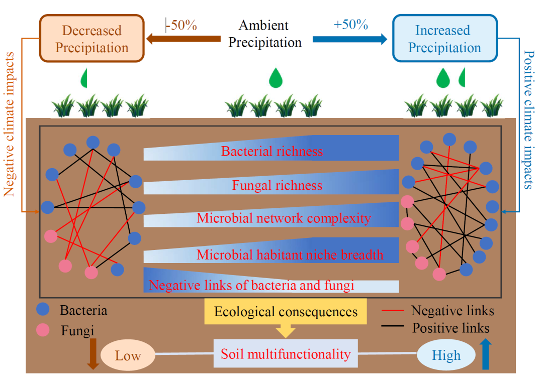 iMeta2023-2025年最高引论文30篇(25.7更新)-CSDN博客
