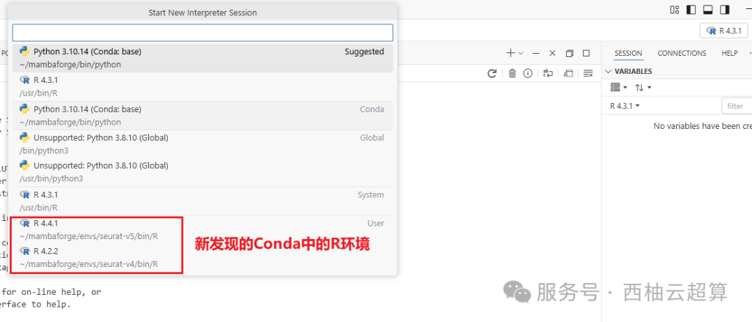 抛弃Rstudio后的Positron秘籍_如何获得positron在服务段运行的代码记录-CSDN博客