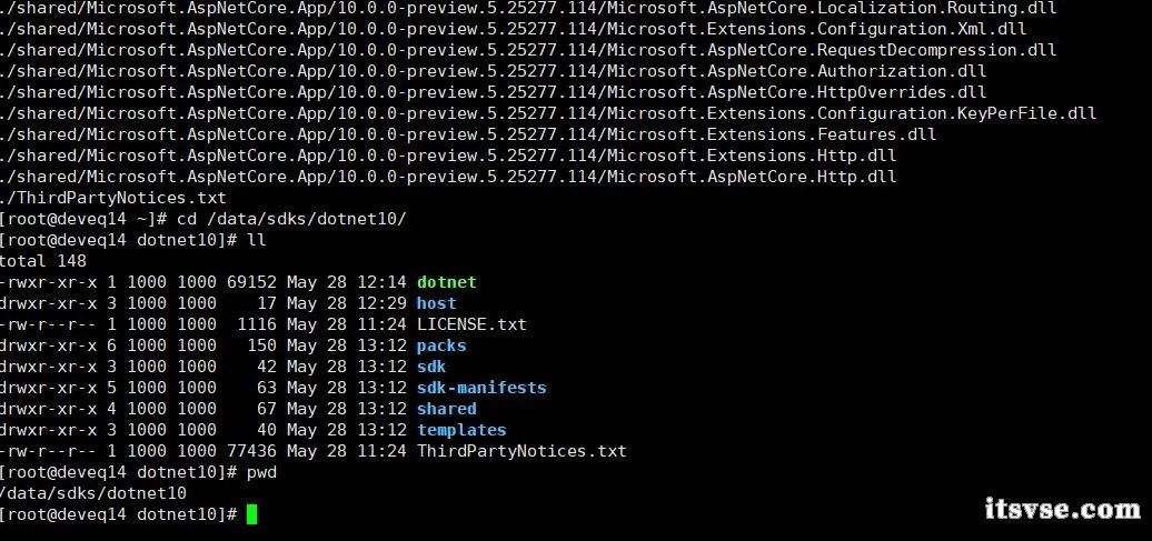 .NET 10 牛逼！Linux 以 Shebang 方式执行脚本_shebang linux-CSDN博客