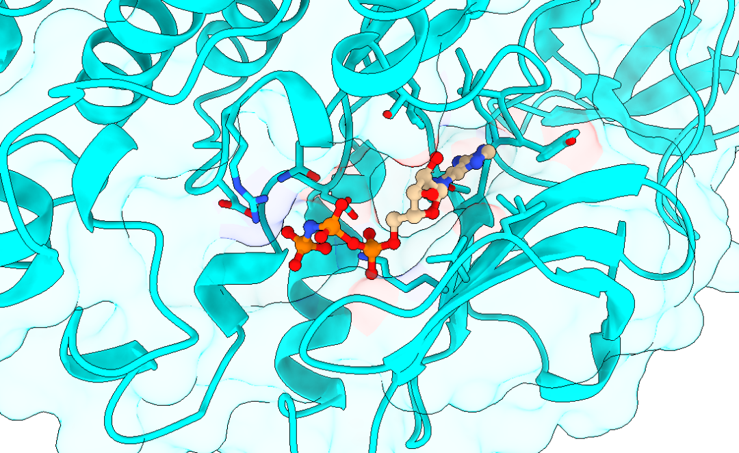 推荐一种使用ChimeraX渲染蛋白-配体复合物的方法_chimera导出好看的蛋白图片-CSDN博客
