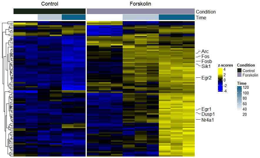 sechm包：简化ComplexHeatmap热图绘制-CSDN博客