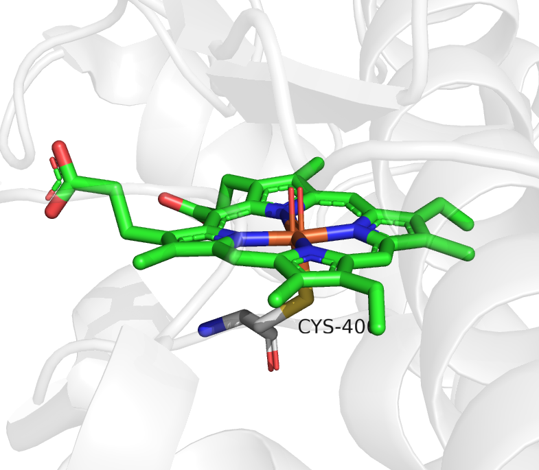 pymol-FAQs-5：_pymol怎么显示氨基酸的名字-CSDN博客