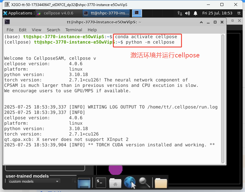 服务器使用Cellpose快速入门指南-CSDN博客