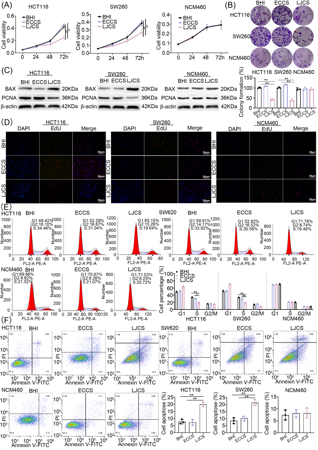 iMetaOmics | 周建云组解析益生菌Lactobacillus johnsonii-FM1缓解结直肠肿瘤进程的作用机制-CSDN博客