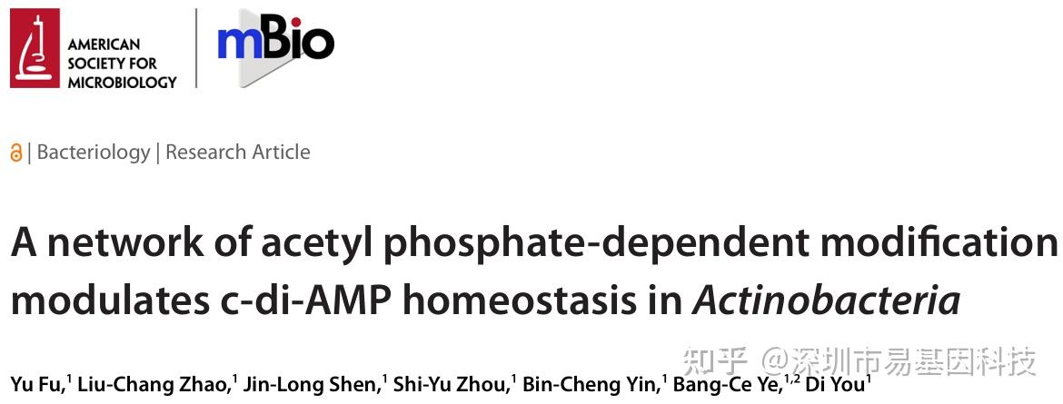 易基因：mBio：ChIP-seq助力揭示AcP依赖性乙酰化修饰网络对放线菌c-di-AMP稳态的调控机制|项目文章-CSDN博客