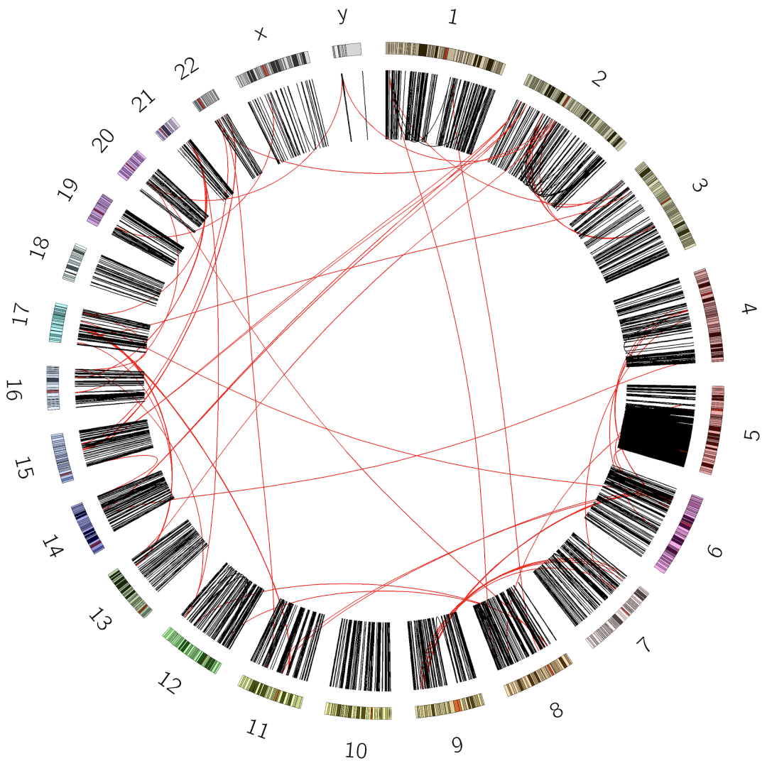 零代码轻松绘制出版级别的circos圈图-CSDN博客