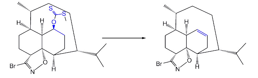 消除反应 (E1, E2) 机理的深入探讨_e2消除反应机理-CSDN博客