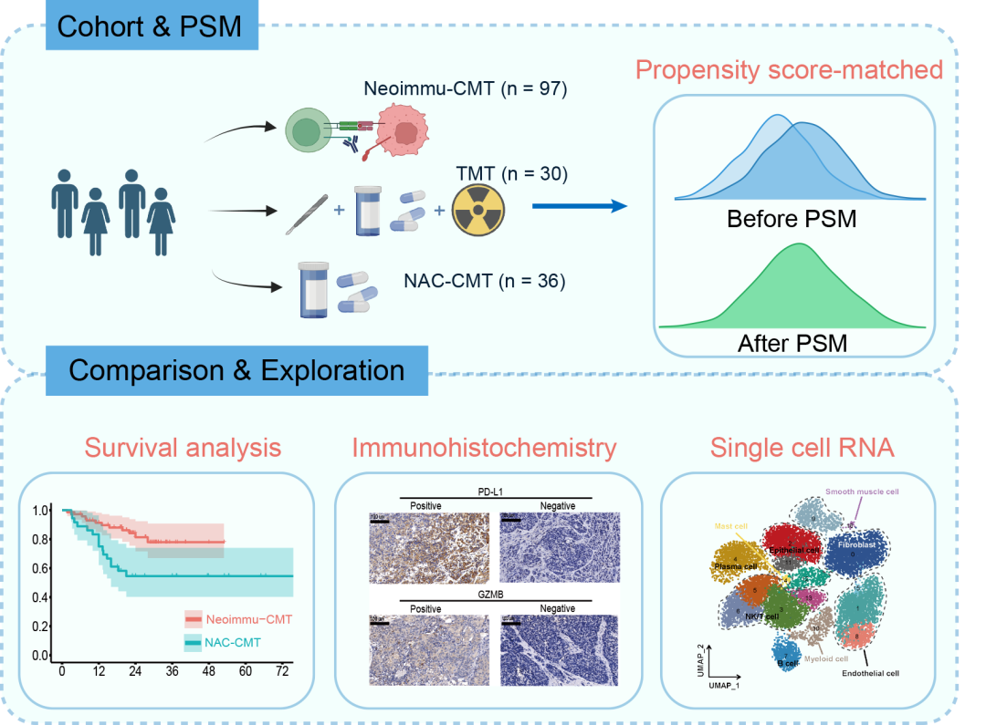 iMeta期刊 第4卷第4期 在线正式发布-CSDN博客