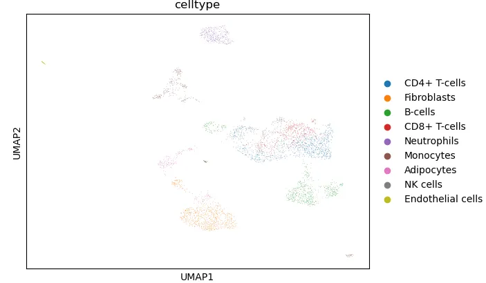 单细胞数据的细胞提取及分组UMAP图绘制流程参考(Python)_sc.tl.umap-CSDN博客