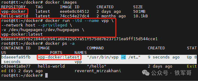 Docker + VPP强强联合：在Docker容器中玩转高性能VPP路由！-CSDN博客