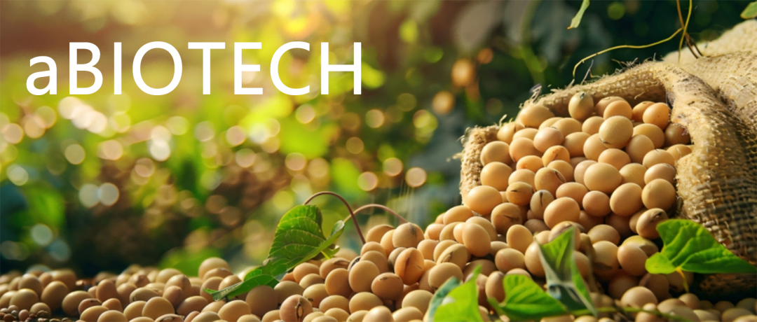 aBIOTECH | 黄三文团队综述组学技术解码共生固氮机制-CSDN博客