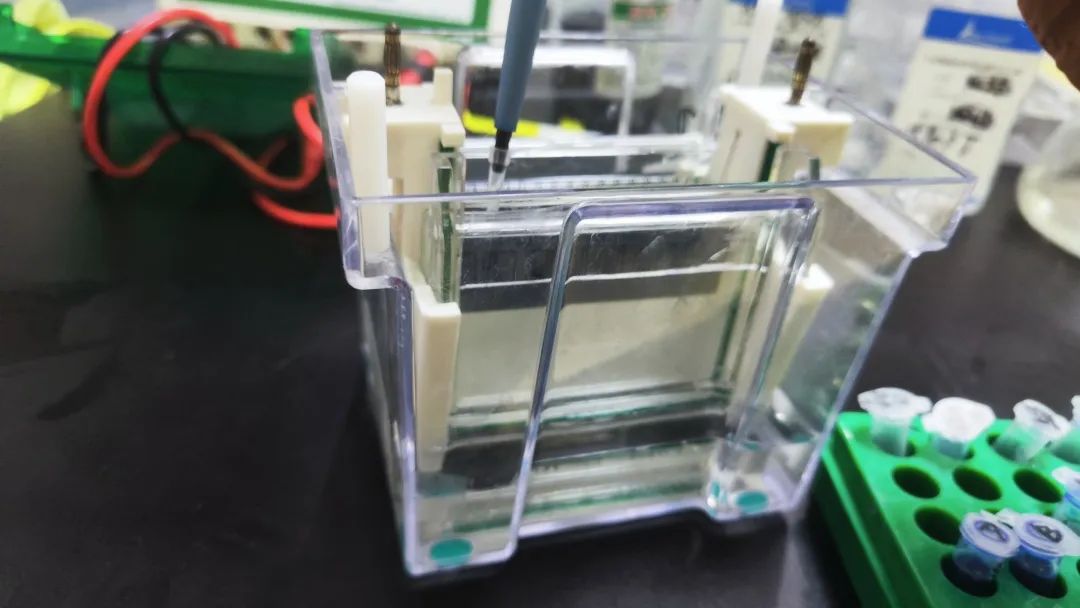 从零开始，手把手教你WB实验全过程_wb处理方法-CSDN博客