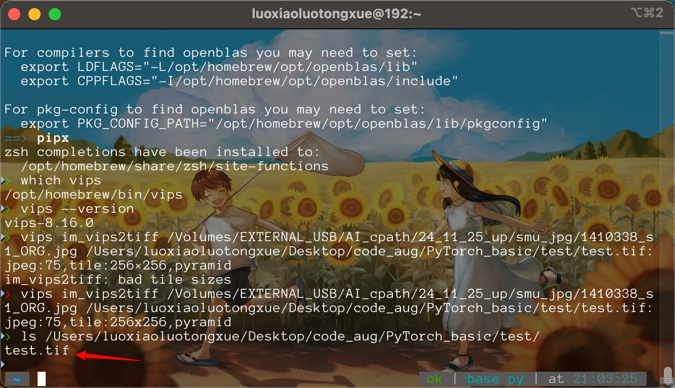 数字病理图像格式转换的通用方法｜编程技巧·25-01-19_openslide-CSDN博客