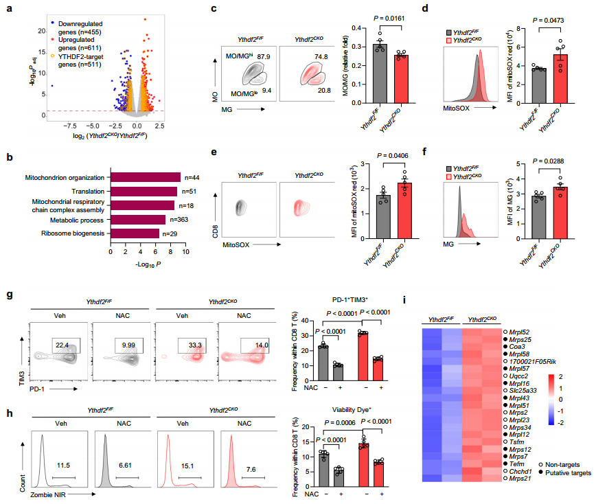 RNA m6A修饰免疫沉淀建库试剂盒：Epi™ m6A Immunoprecipitation Kit_m6a修饰免疫沉淀试剂盒 r1802 ...