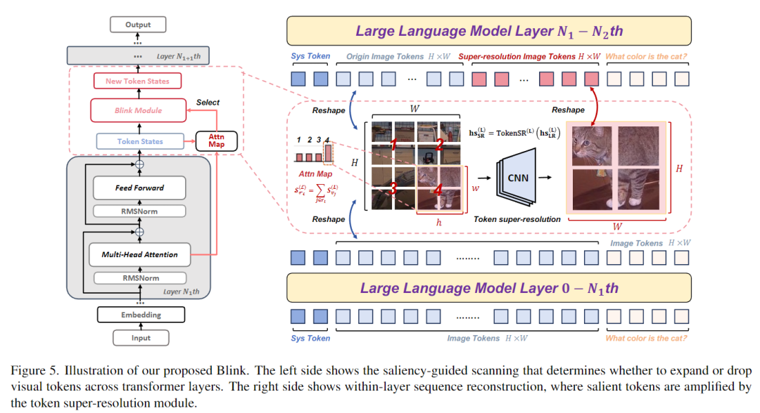 【中科院-付鹏组-arXiv25】Blink：用于增强多模态理解的动态视觉令牌解析-CSDN博客