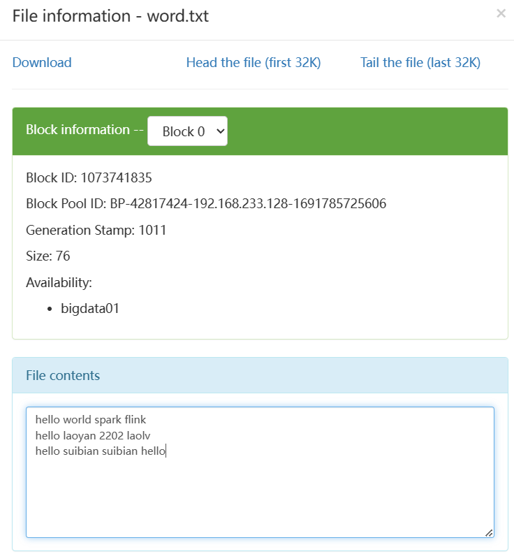 大数据-Hadoop-HDFS_hadoop hdfs-CSDN博客