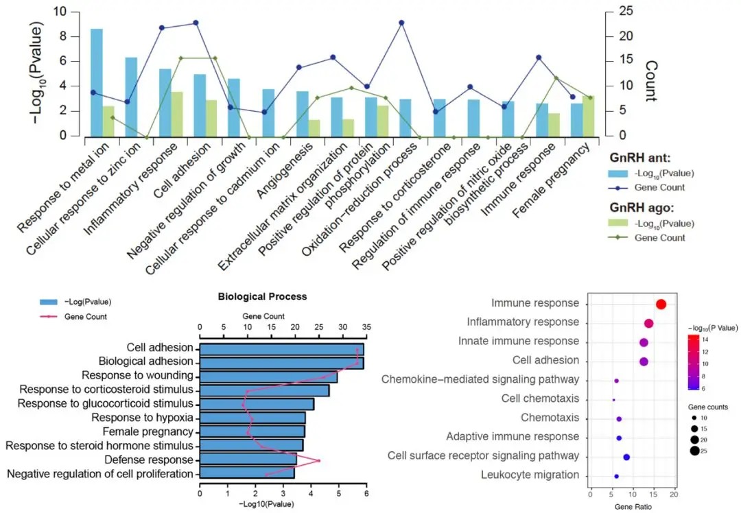 DAVID如何进行GO/KEGG功能富集分析？_goterm bp fat-CSDN博客