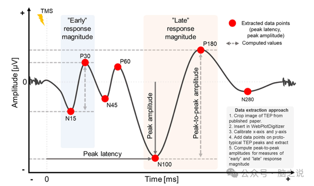 丹麦哥本哈根大学研究团队系统比较了针对初级运动皮层的TMS-EEG研究-CSDN博客