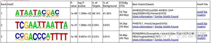 如何进行Motif预测分析和解读？MEME和HOMER全解析_meme motif-CSDN博客