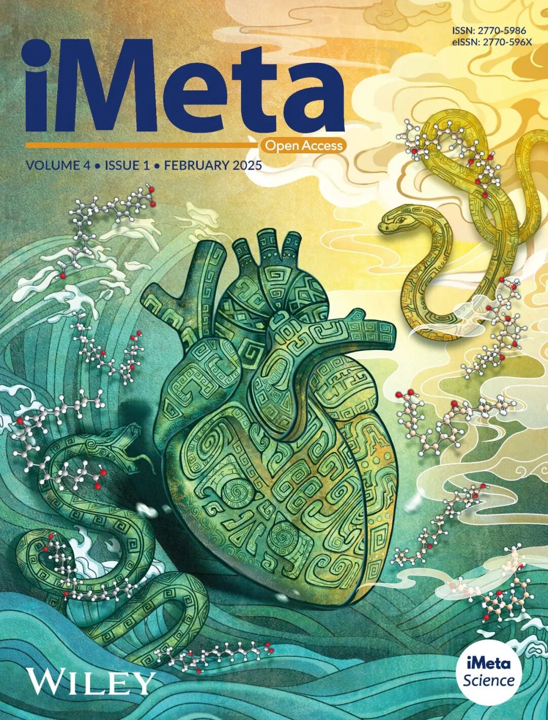 iMetaOmics | 浙大阎芙洁组-解析微生物减少铜诱导的神经毒性-CSDN博客