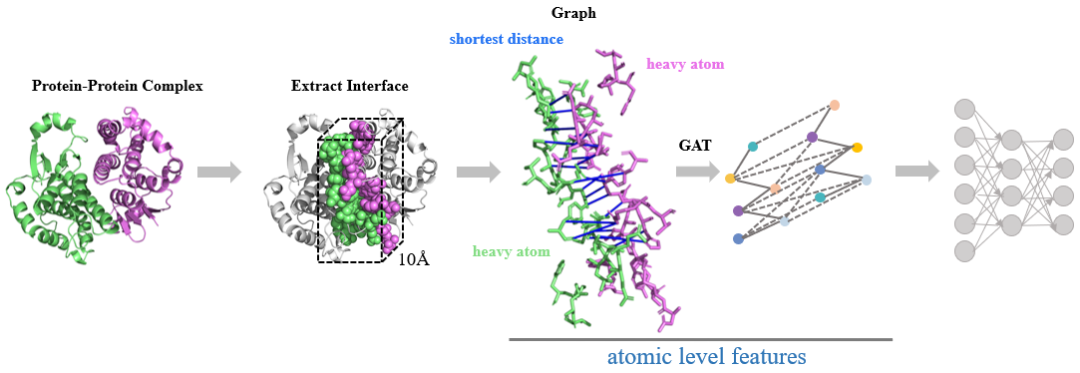 AIDD -人工智能药物设计 - 蛋白-蛋白(PPI)界面感知的分子生成框架用于PPI调节剂设计-CSDN博客