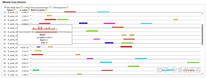如何进行Motif预测分析和解读？MEME和HOMER全解析_meme motif-CSDN博客