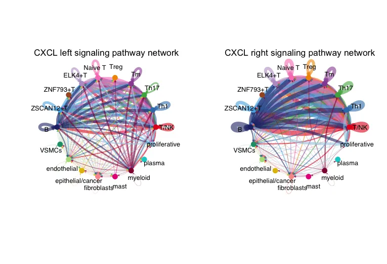 单细胞实战之cellchat——入门到进阶(高级篇1）_findenrichedsignaling-CSDN博客