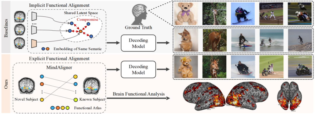 ICML25︱仅用1小时数据，MindAligner 跨个体显式对齐框架破解脑视觉解码难题-CSDN博客