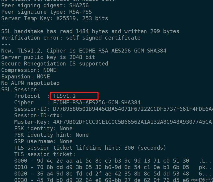nginx中同一端口不同tls版本与加密套件_nginx配置 tlsv1.2和tlsv1.3-CSDN博客