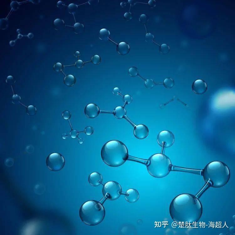 Gly-Asp-Asp-Asp-Asp-Lys-Β-Naphthylamide ；170809-51-5，GD4K-βNA_gly-asp-asp-asp-asp-lys-螔 ...