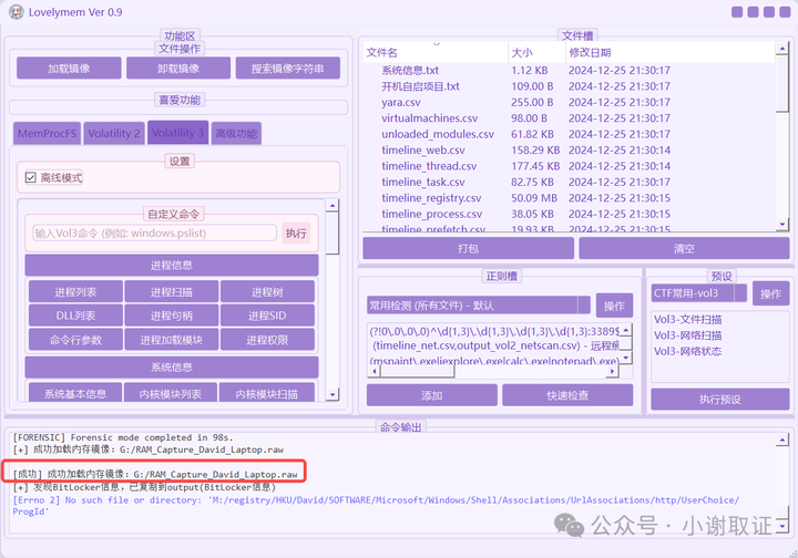 Lovelymem一把梭2024年美亚杯内存取证（Lovelymem软件使用详细步骤+软件+检材链接）-CSDN博客