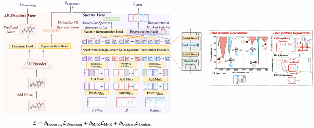 ICLR‘25 | 多模态光谱信息赋能 3D 分子表征预训练-CSDN博客