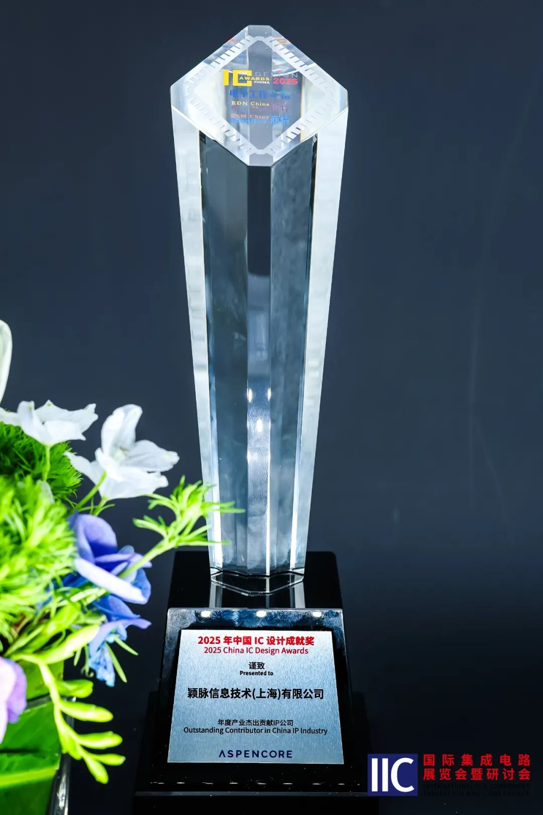 Imagination荣获2025中国IC设计成就奖—“年度产业杰出贡献IP公司“-CSDN博客