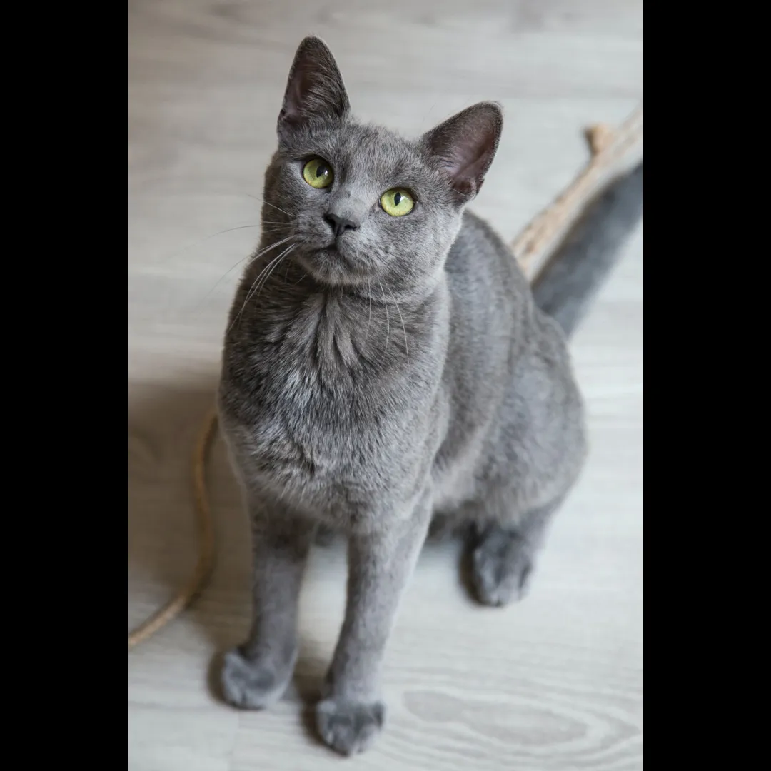 一张图秒生 LoRA ? Qwen-Image-i2L 诞生记_魔搭ModelScope社区-ModelScope魔搭社区