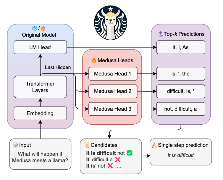 Speculative Decoding 推测解码方案详解-CSDN博客