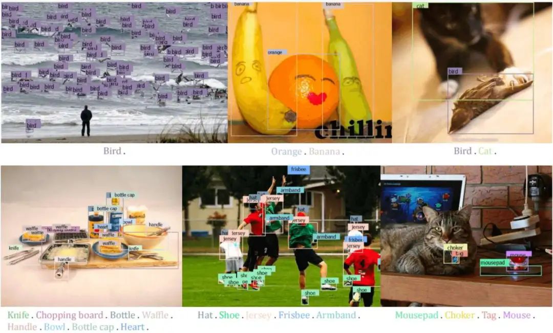 T-Rex Label 上线 DINO-X 模型预标注，52CV 粉丝专属福利来袭-CSDN博客