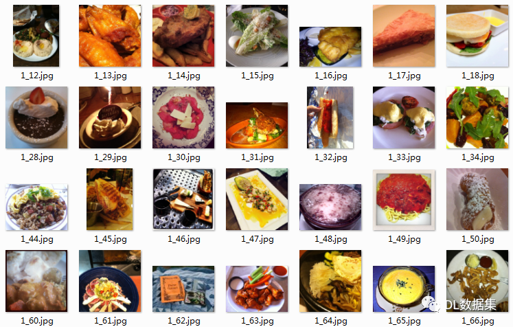Food-5K 食物与非食物二分类数据集_二分类数据集下载-CSDN博客