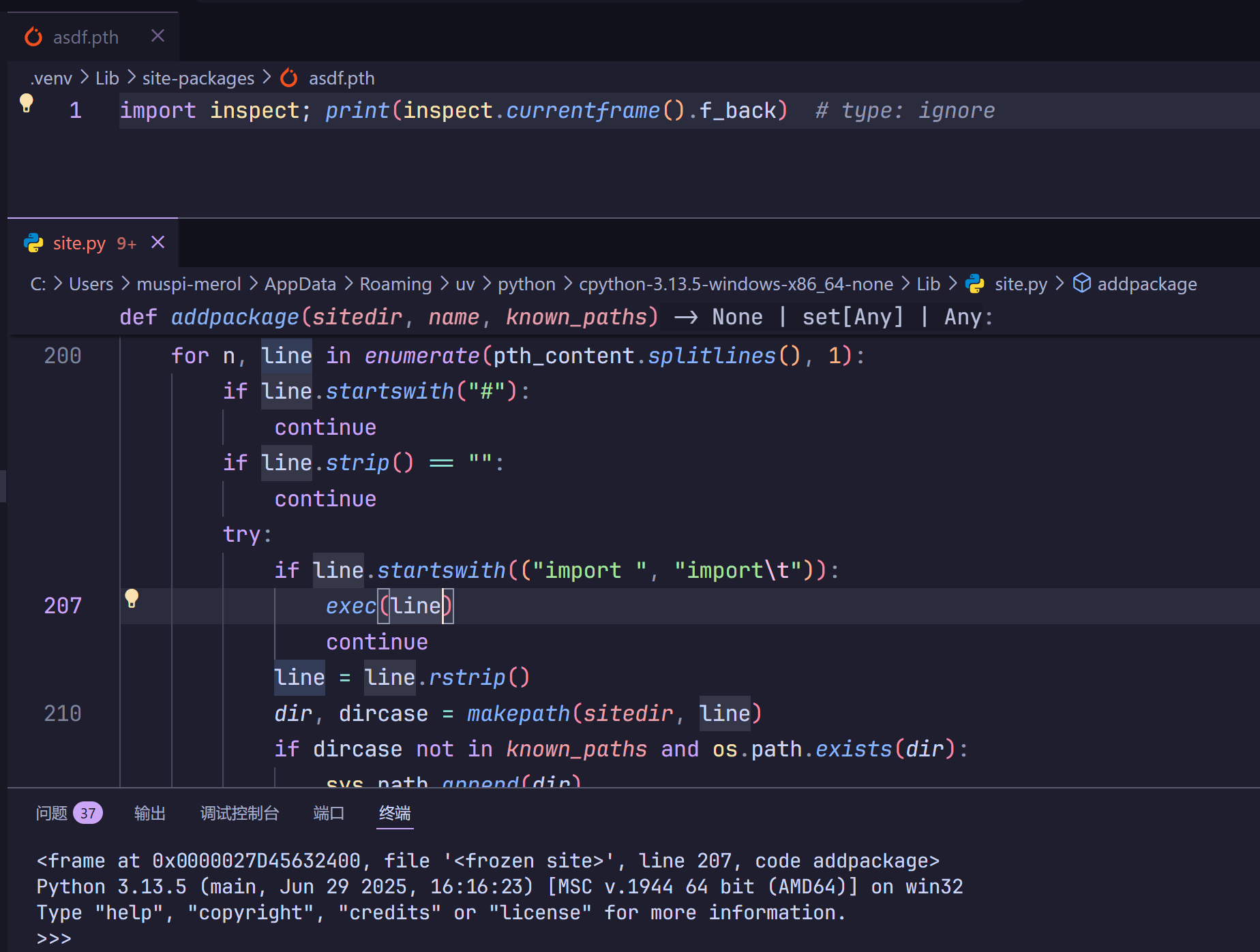 Python 魔法之 .pth 文件：潘多拉的魔盒_.pth文件-CSDN博客