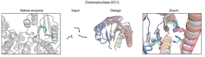 蛋白质设计（三）— — RFdiffusion官方教程解析之酶设计_rf-diffusion-CSDN博客