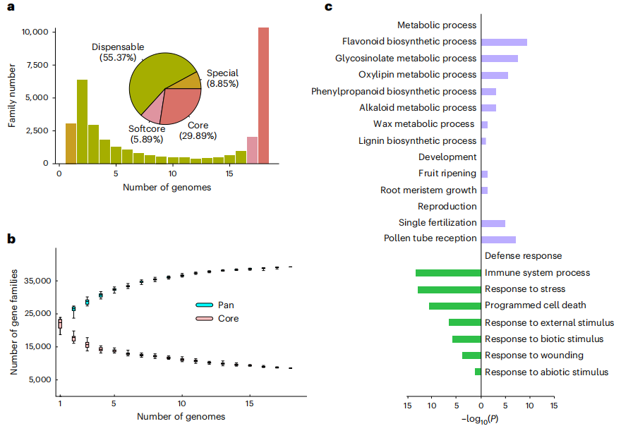 水果泛基因组文章盘点和解析_haplotype-resolved 泛基因组-CSDN博客